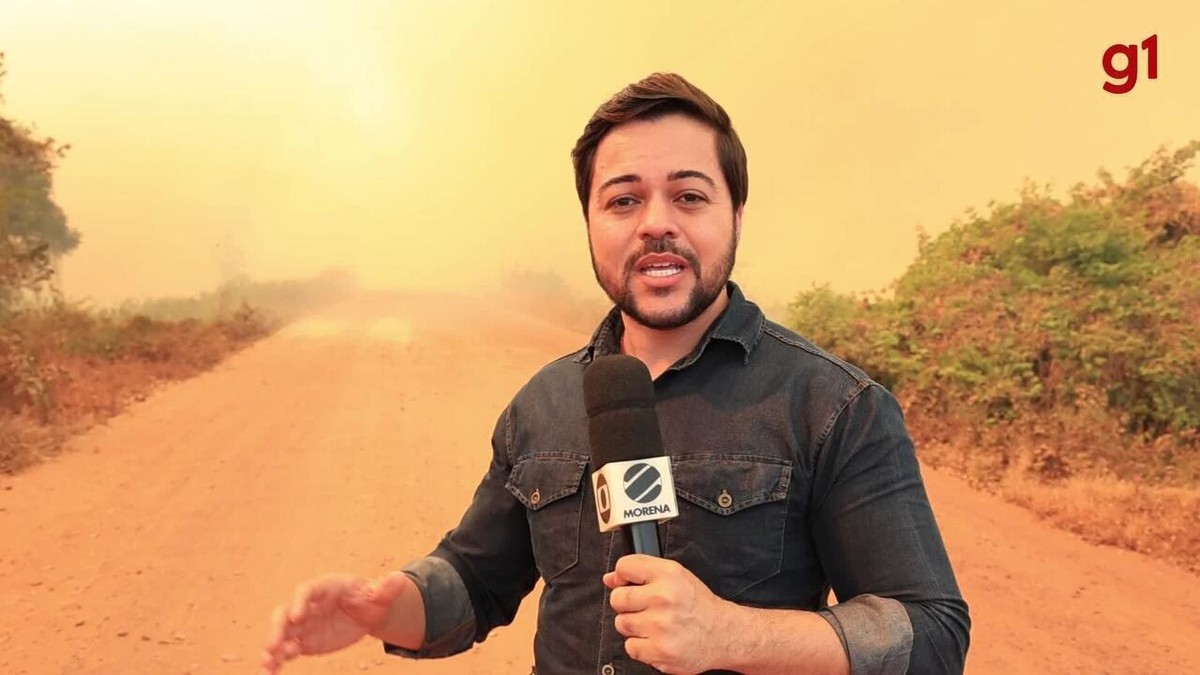Equipe De TV Filma Momento Exato Em Que Fogo Consome Ponte No Pantanal
