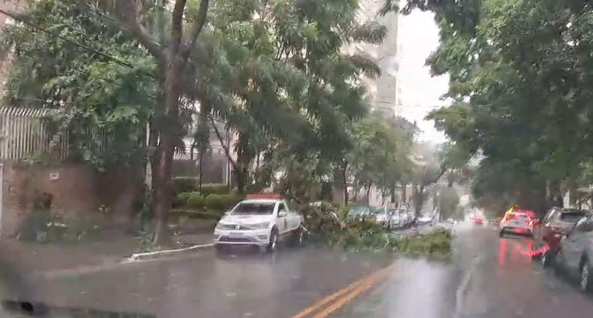 Chuva granizo derruba árvores e causa alagamentos em São Paulo neste domingo veja fotos