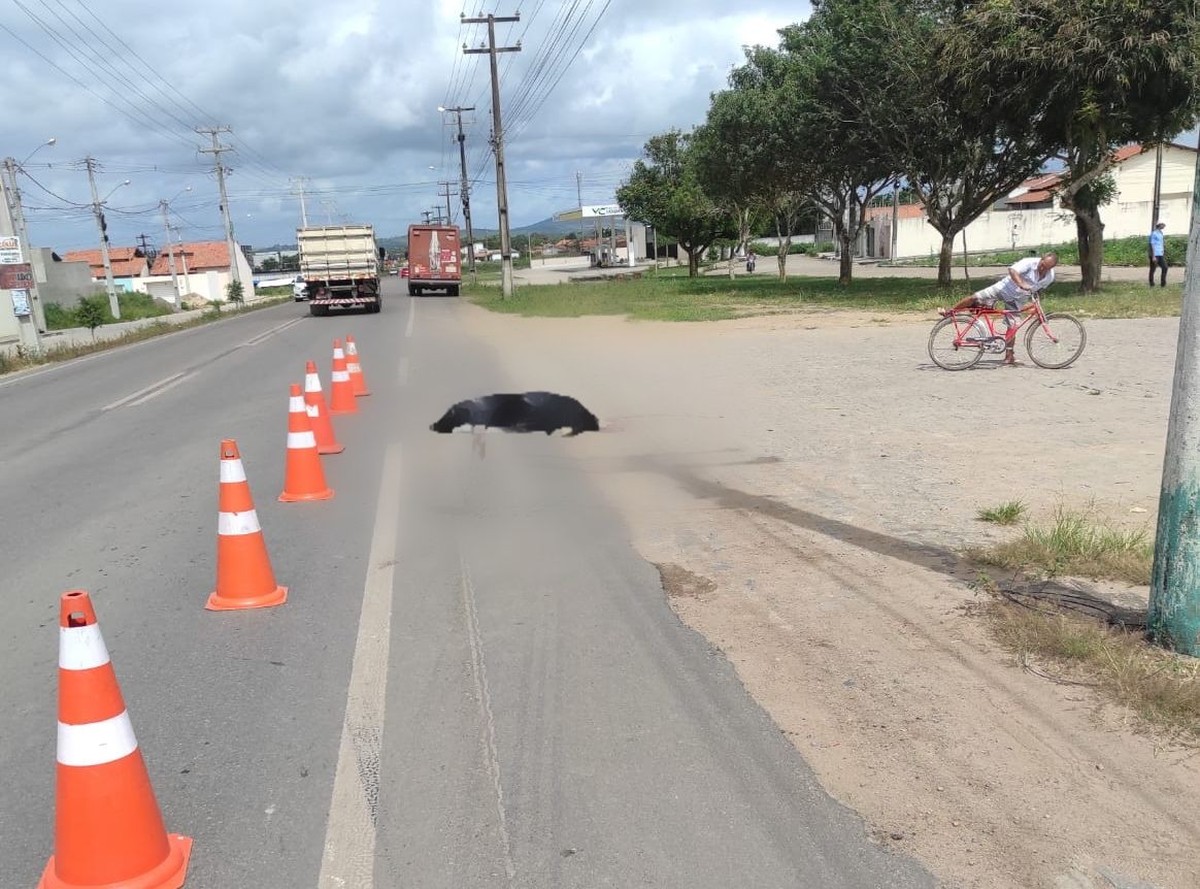 Homem morre atropelado por caminhão ao tentar cruzar rodovia em