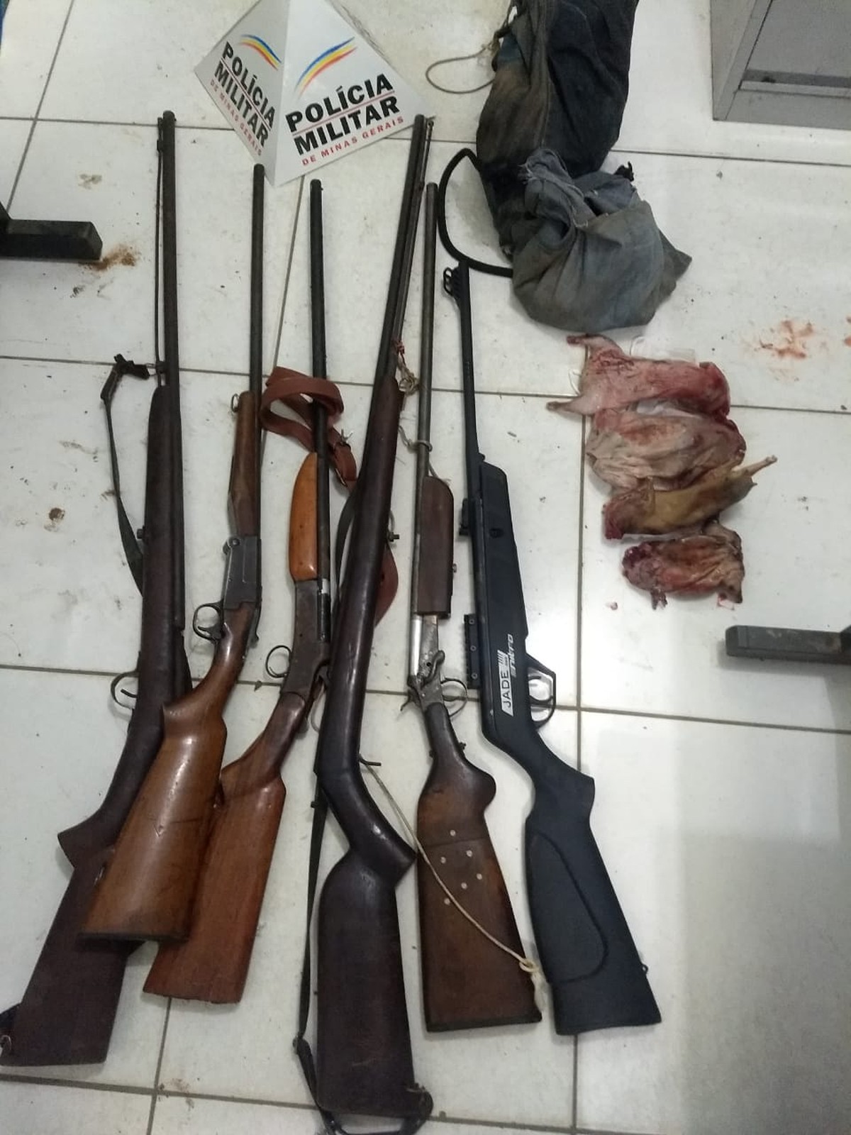 Homem é preso seis espingardas e autuado em R 20 mil por causar