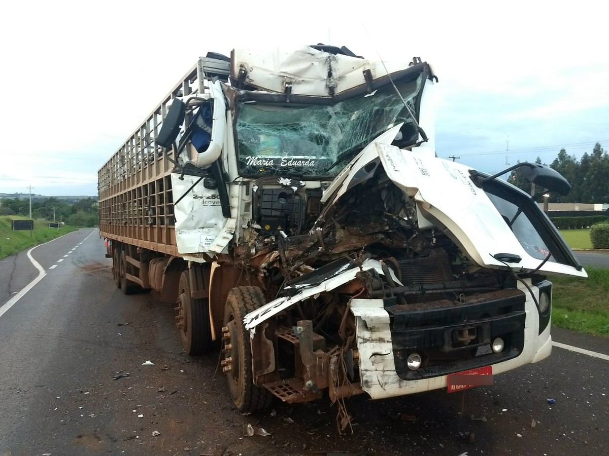 Motorista de caminhão dorme ao volante e sai ileso de acidente que