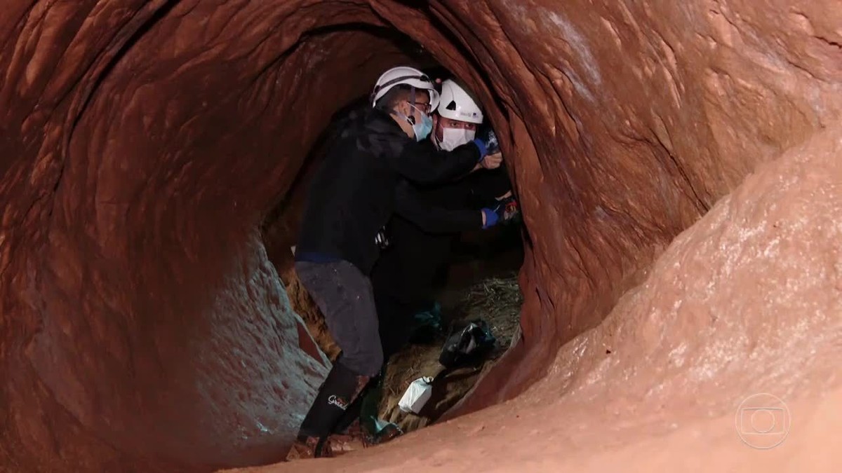 VÍDEO conheça as paleotocas túneis pré históricos escavados por preguiças e tatus gigantes em