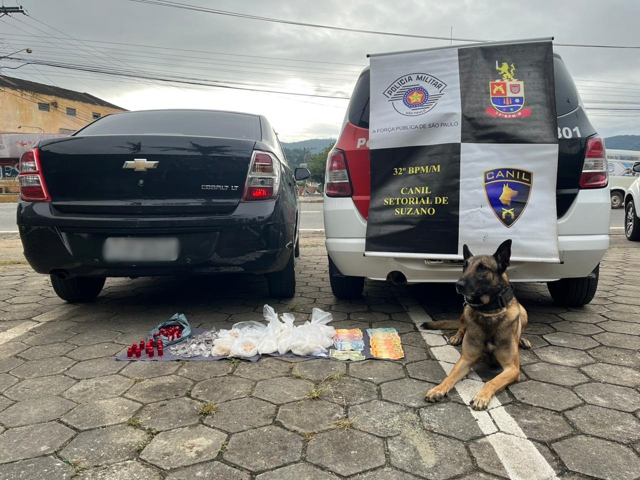apoio de cão farejador policiais de Suzano encontram mais de 3 3