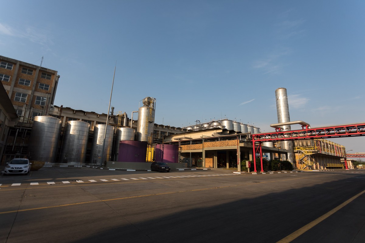 Ambev abre 300 vagas de estágio para unidades de todo o país veja como