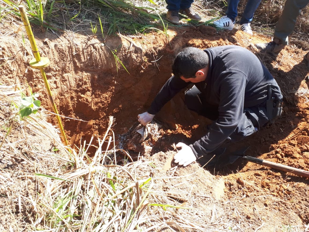 IML confirma que é de mulher corpo encontrado em cemitério clandestino