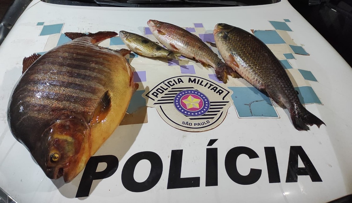 Pescador profissional é autuado em mais de R 1 4 mil por pesca