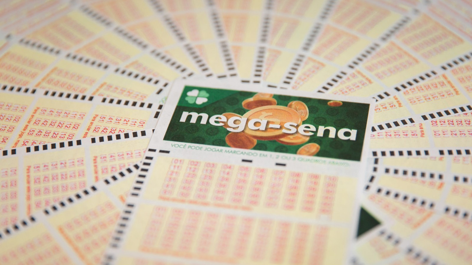 Se você ganhasse na Mega Sena e na Lotofácil faria o que a bolada