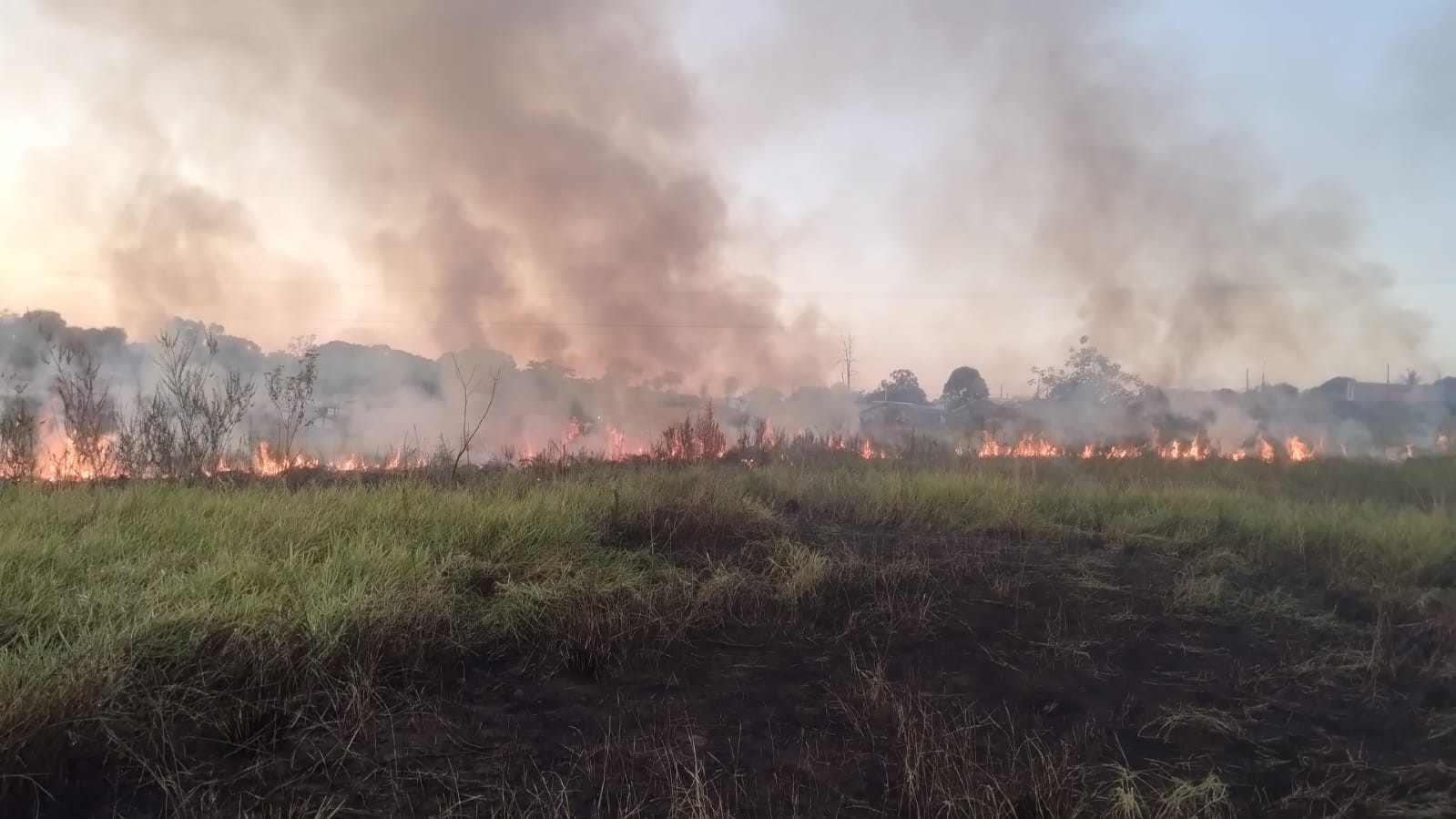 Incêndio em Vera Cruz: fogo ameaça casas perto da Rodovia SP-294 | G1