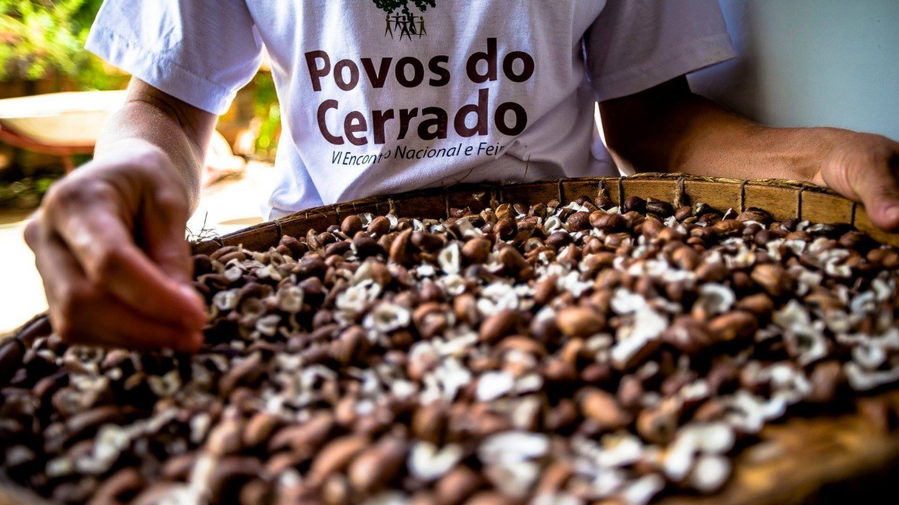 Cerrado invisível: quem são os povos tradicionais que protegem o bioma ...