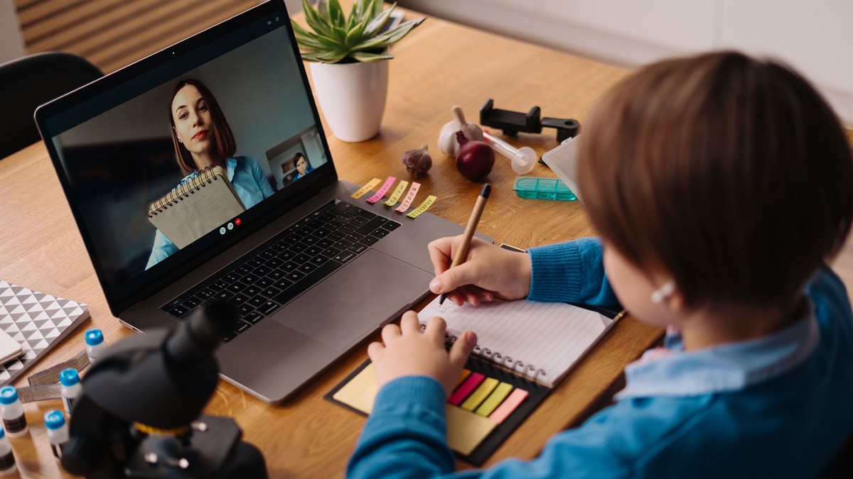 Pedagogia - conheça mais sobre o curso e a profissão | UNIVERSIDADE ...