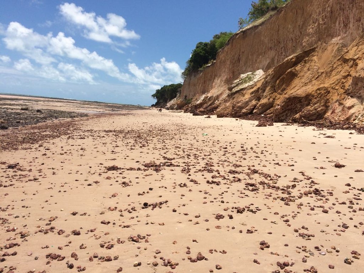 Governo Libera R 65 Milhões Para Obra Na Barreira Do Cabo Branco Em