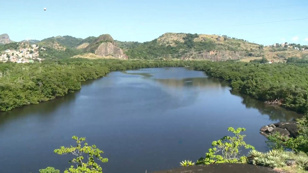 Estudo mostra que proteger áreas de mangue ajuda a evitar inundações ...