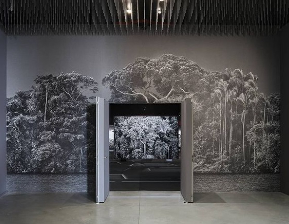 Exposição Amazônia será apresentada pela 1ª vez no Brasil e traz fotos ...