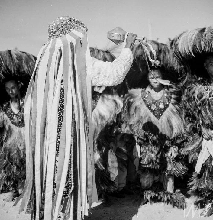 Sons de resistência e identidade: conheça a história do Bumba Meu Boi ...