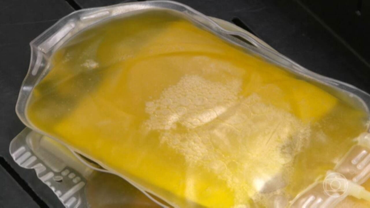 O que é o plasma sanguíneo? | Saúde | G1