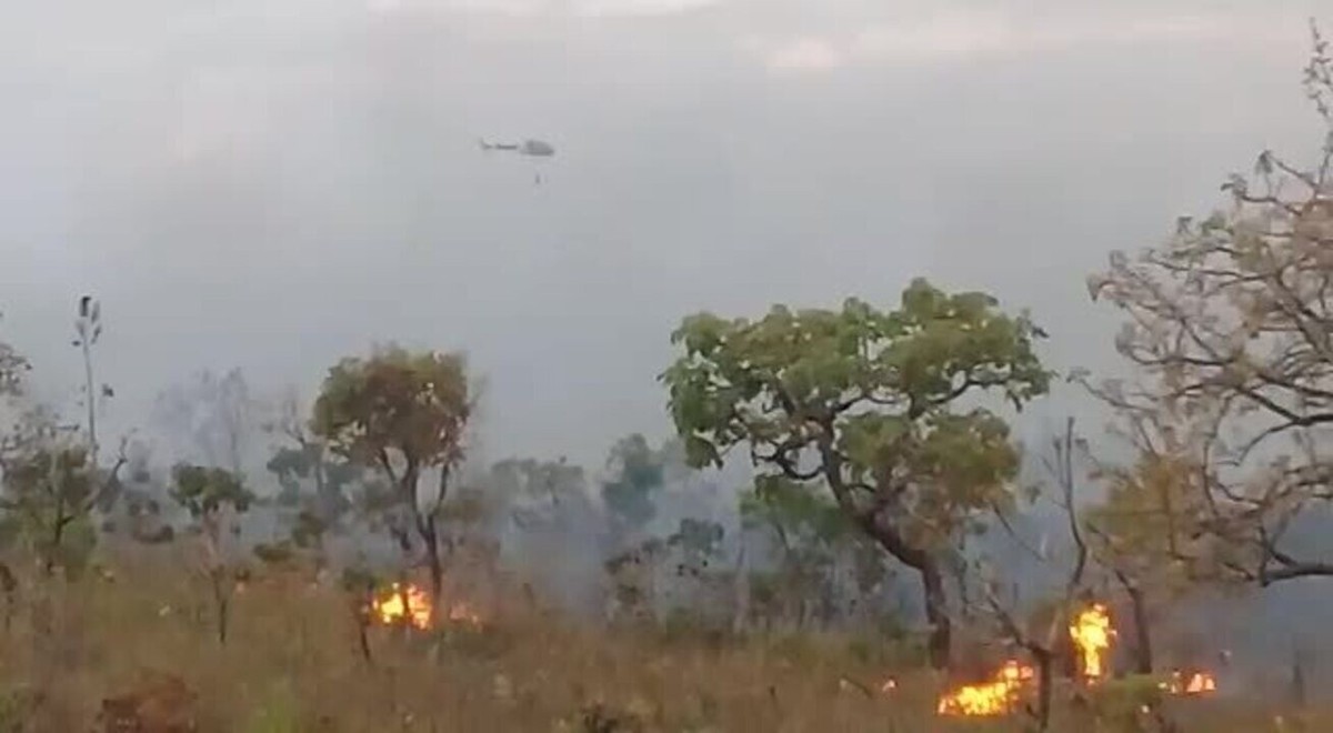 Incêndio atinge o Parque Nacional de Brasília; veja vídeo | Distrito ...