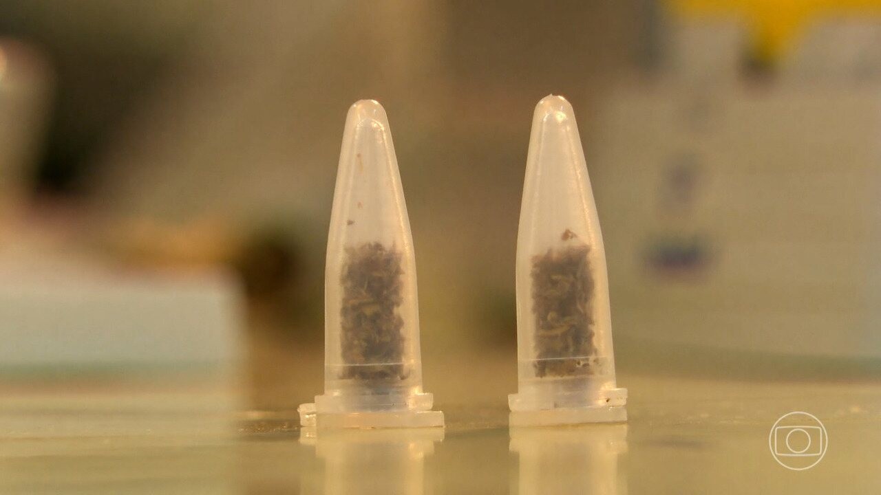 Nitazeno: novo opioide é de 10 a 20 vezes mais potente do que fentanil ...