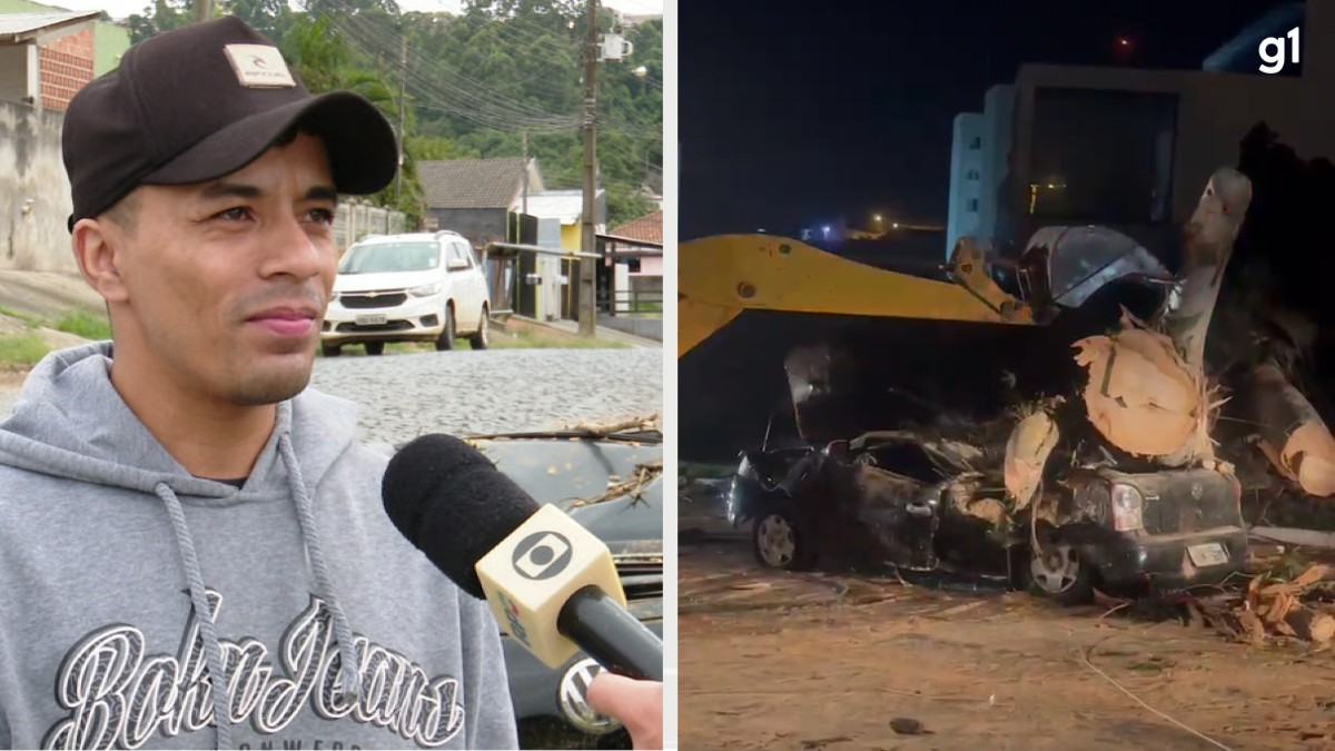 VÍDEO: Motorista sobrevive após eucalipto esmagar carro durante temporal: 'Milagre' | Campos ...