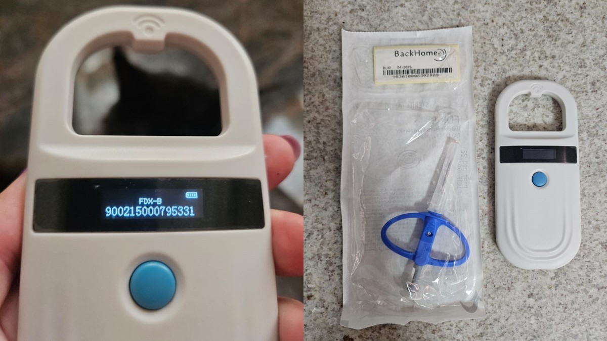 Microchipagem ajuda na identificação de cães e gatos perdidos; entenda ...