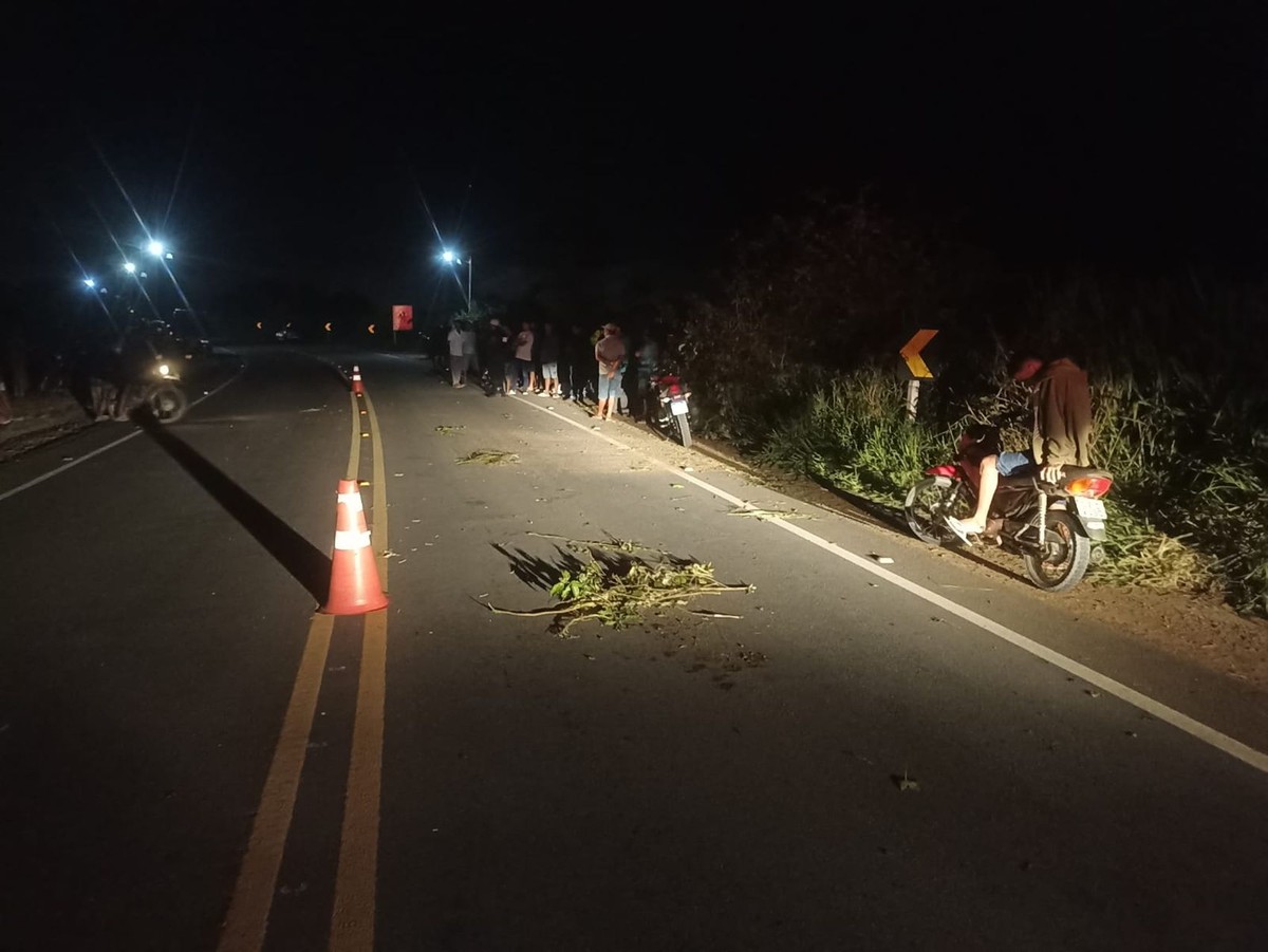 Condutor morre após veículo sair de pista na rodovia SE-290 em Umbaúba | Sergipe | G1