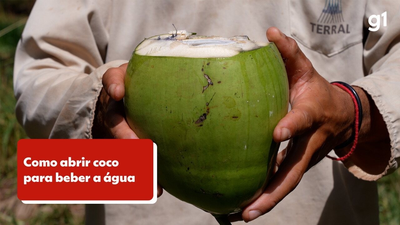 Aprenda a abrir coco e curar a ressaca pós-Carnaval | Agronegócios | G1