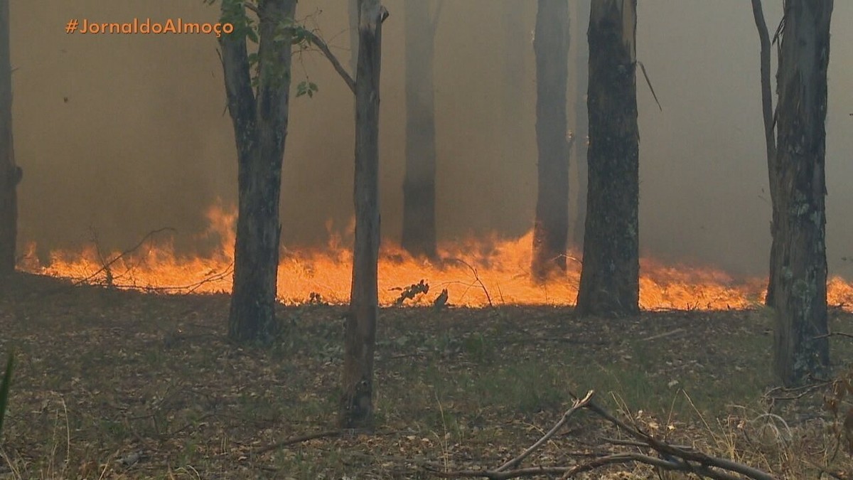 Incêndio atinge área de 54 mil hectares no interior de Cacequi há cinco ...
