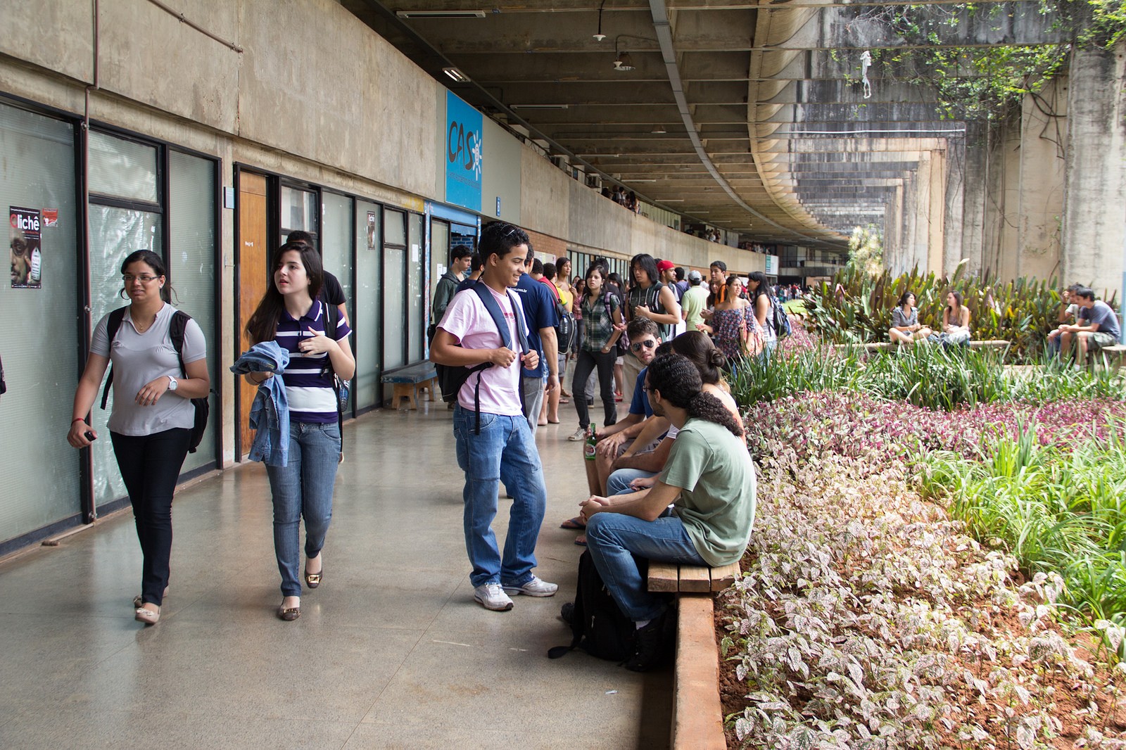 UnB mantém posição de 7ª melhor universidade federal do Brasil, em ...