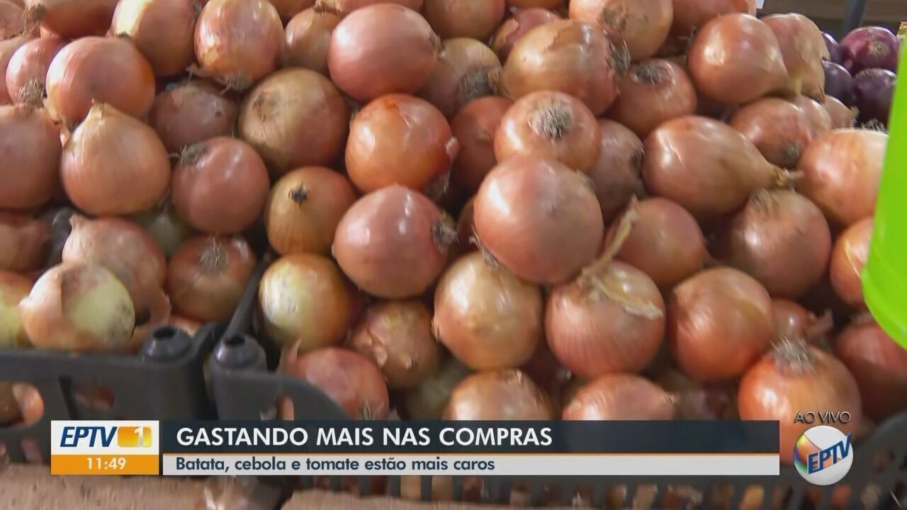 Rede Dia fecha 22 supermercados em Araraquara, São Carlos, Rio Claro e ...
