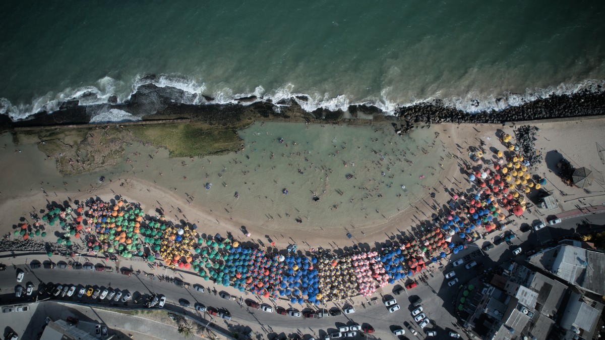 Praia Limpa: projeto de conscientização vem transformando o Recife há ...