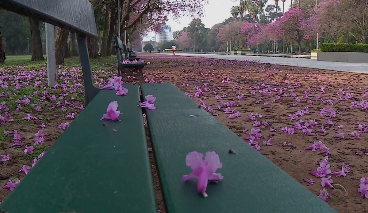 Primavera tem previsão de calor e de temperaturas mais altas | Natureza ...