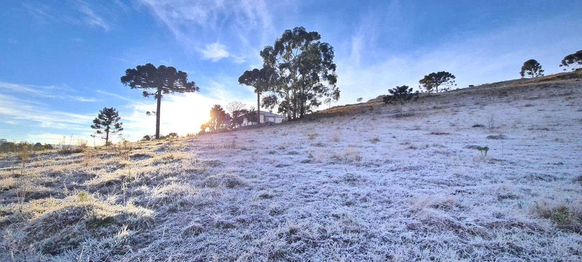 Semana começa com geada e -5ºC na Serra de SC; veja fotos | Santa ...