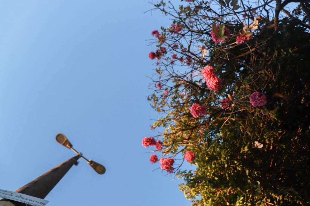 Primavera: veja como fica o clima na 1º semana e saiba o que é esperado ...