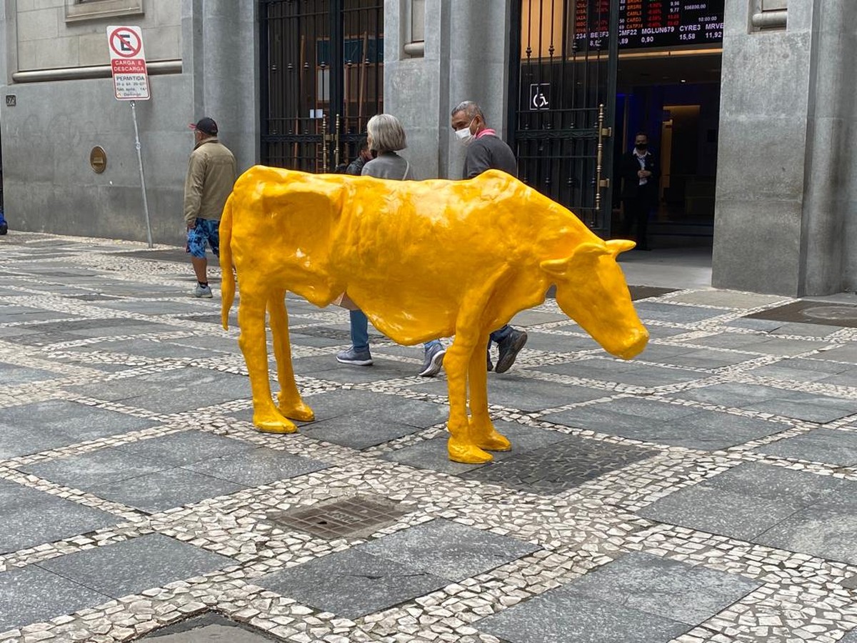 'Vaca magra' é instalada em frente à Bolsa de Valores, no Centro de SP ...