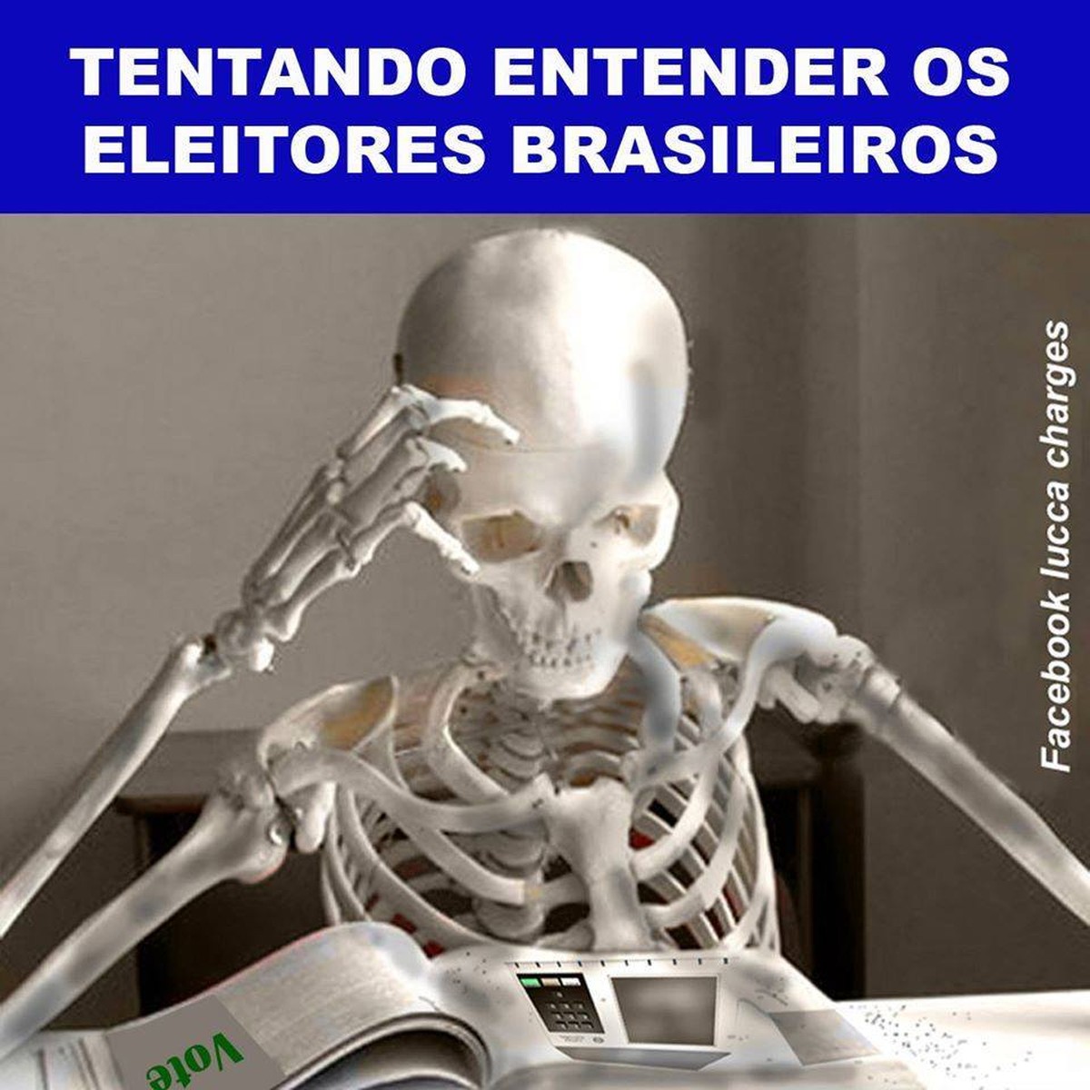 Uso de memes na discussão política no Brasil tem efeito 'democratizador ...
