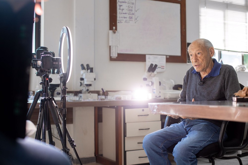 Após 40 anos, descoberta de fóssil de feto de preguiça gigante ...