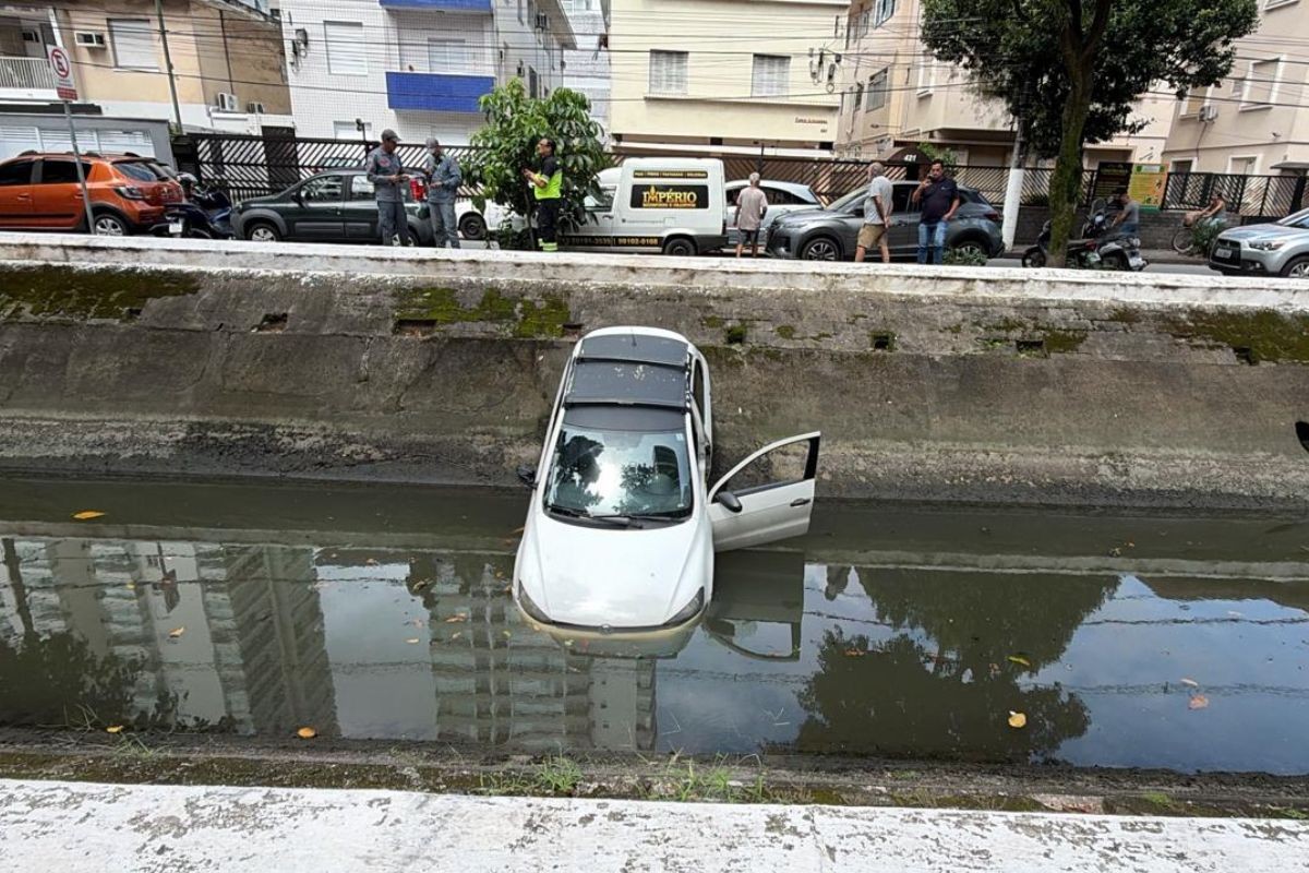 Motorista perde controle ao dar ré e carro cai no canal em Santos | G1