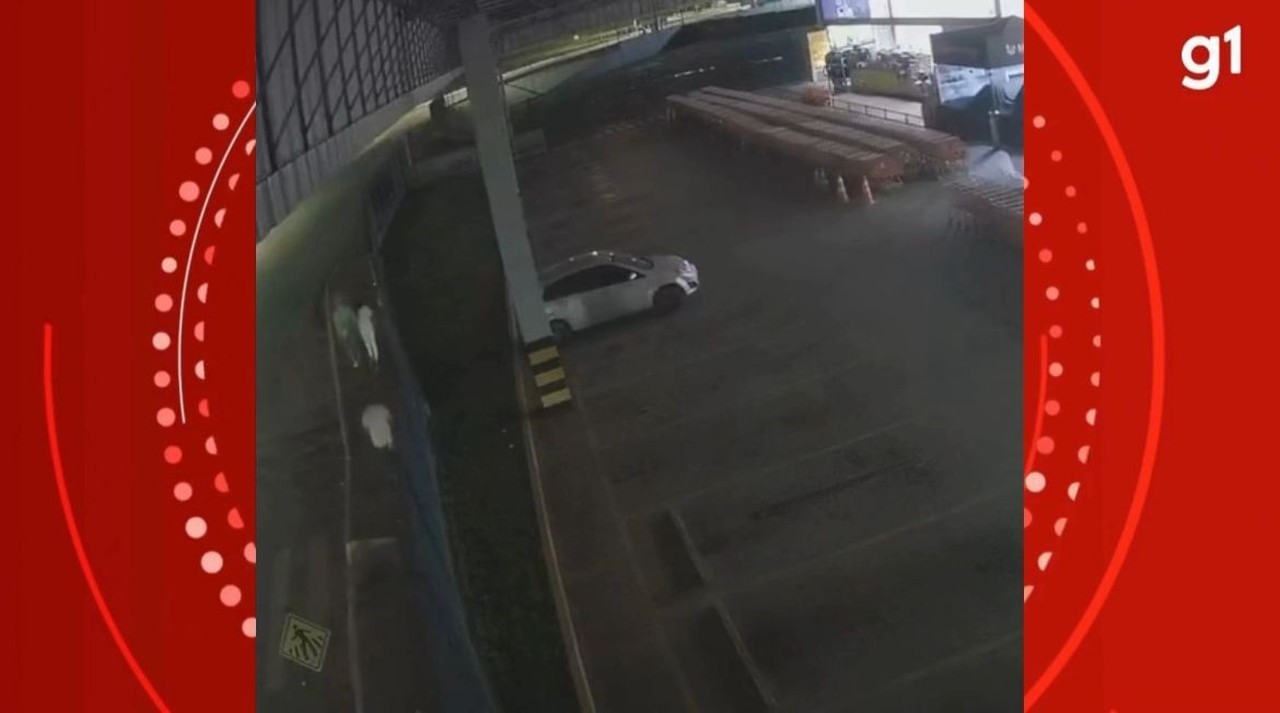 Homem preso em Novo Gama após atirar na nuca de jovem | G1
