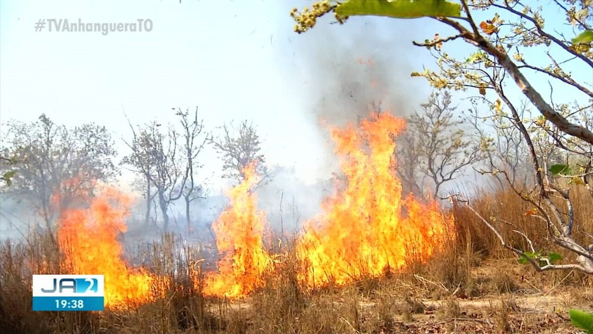 Tocantins registra mais de 4,8 mil focos e fica em 4º lugar no ranking nacional de queimadas ...