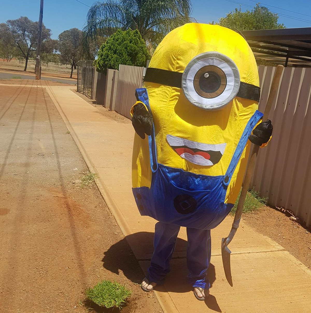 Minion furta pedaço de gramado de casa na Austrália | Planeta Bizarro | G1