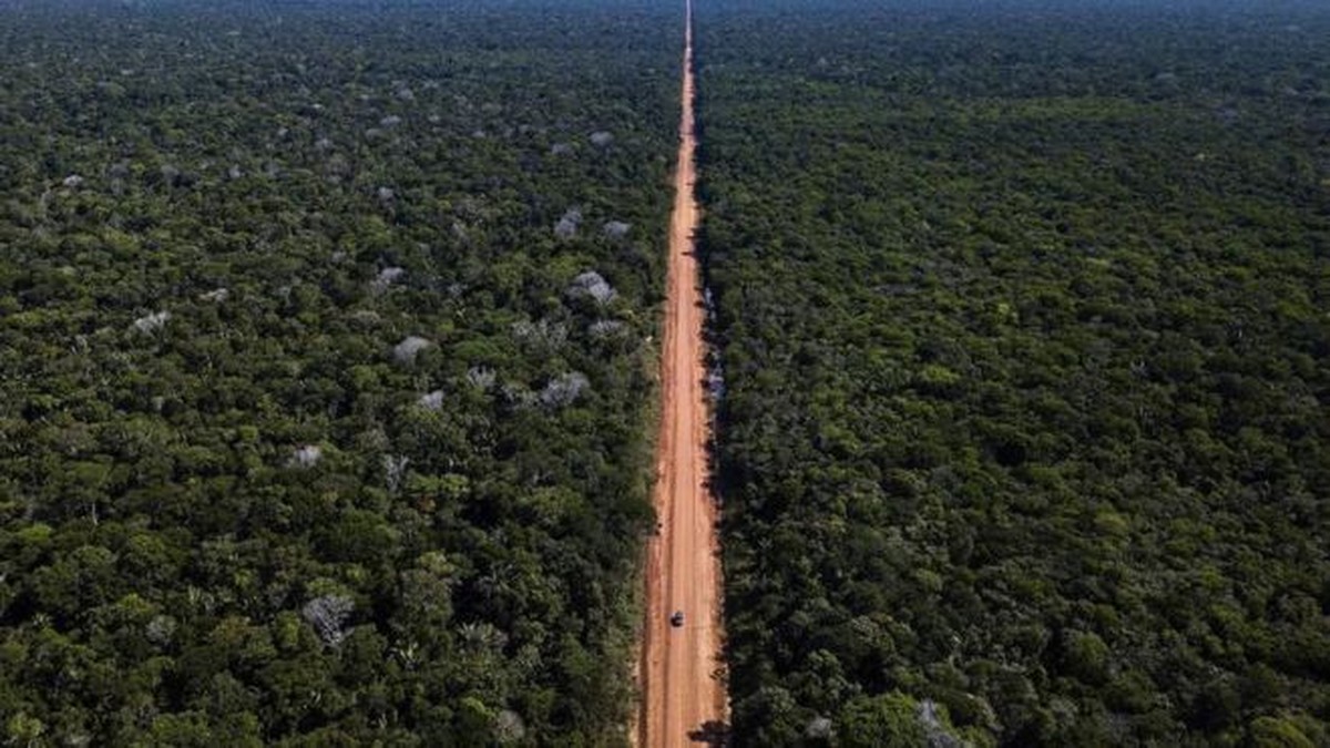 O projeto que ameaça criar 'deserto verde' na Amazônia e agravar ...