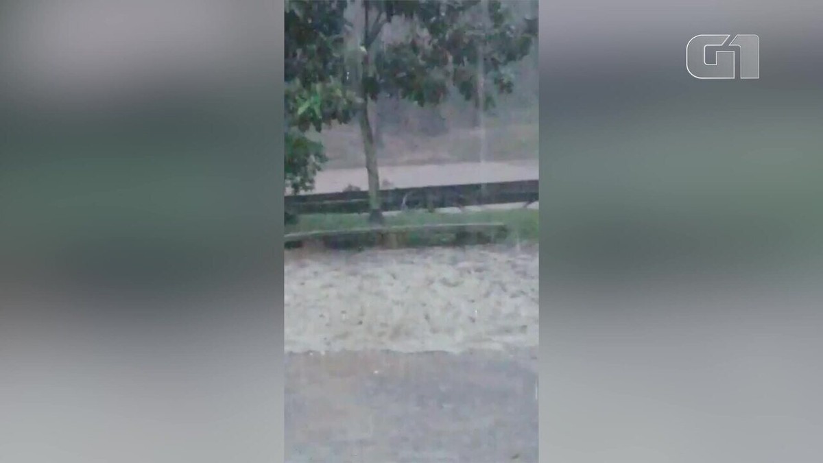 Chuva Provoca Deslizamentos De Barreira Alagamentos Quedas De árvores