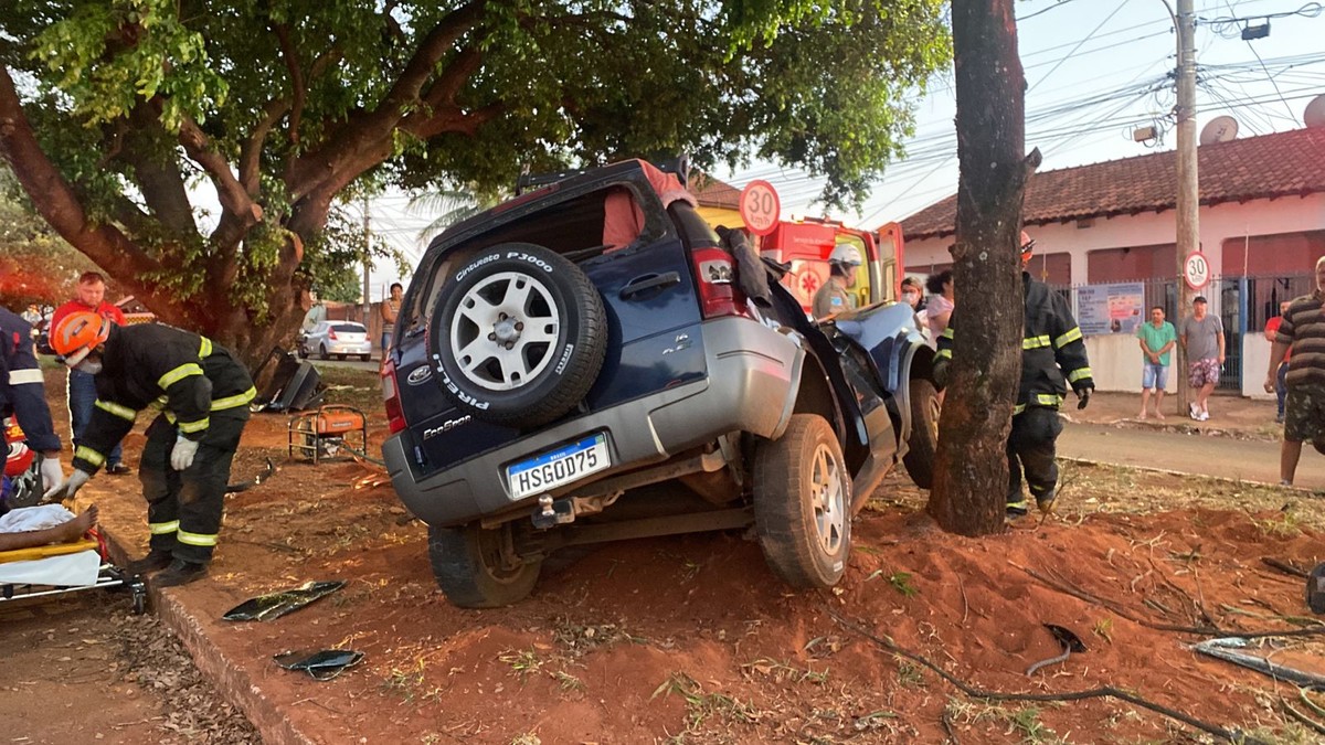 Adolescente de 15 anos dirigia carro que ‘abraçou’ árvore após colisão ...