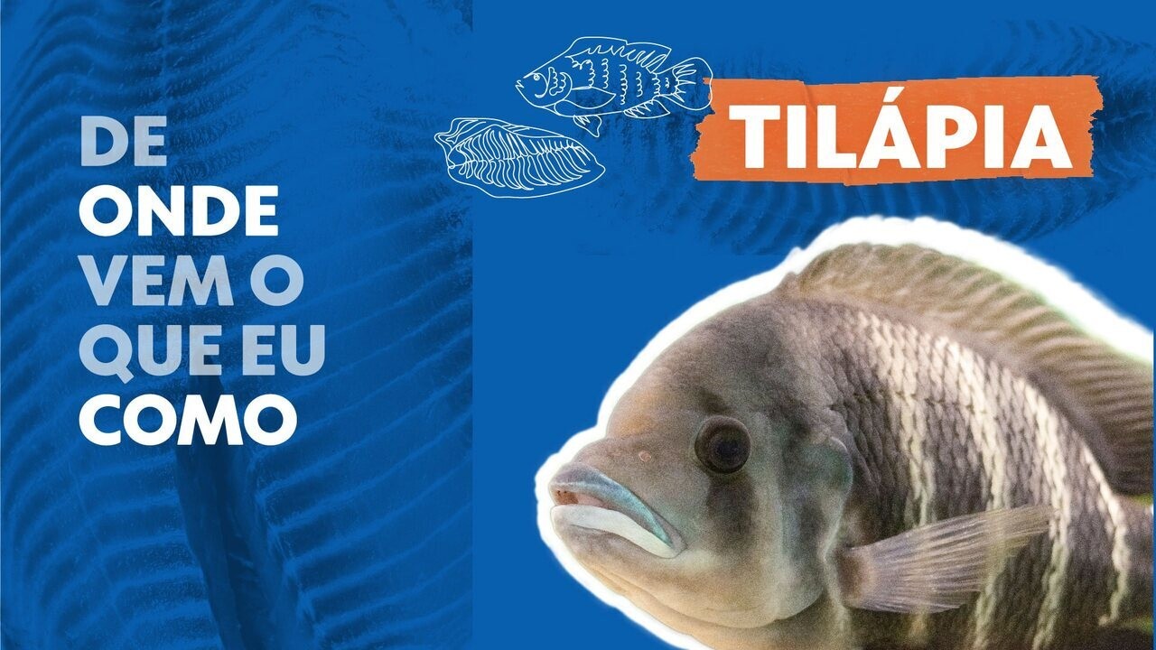 O peixe que vive mais de 100 anos e não parece envelhecer | G1