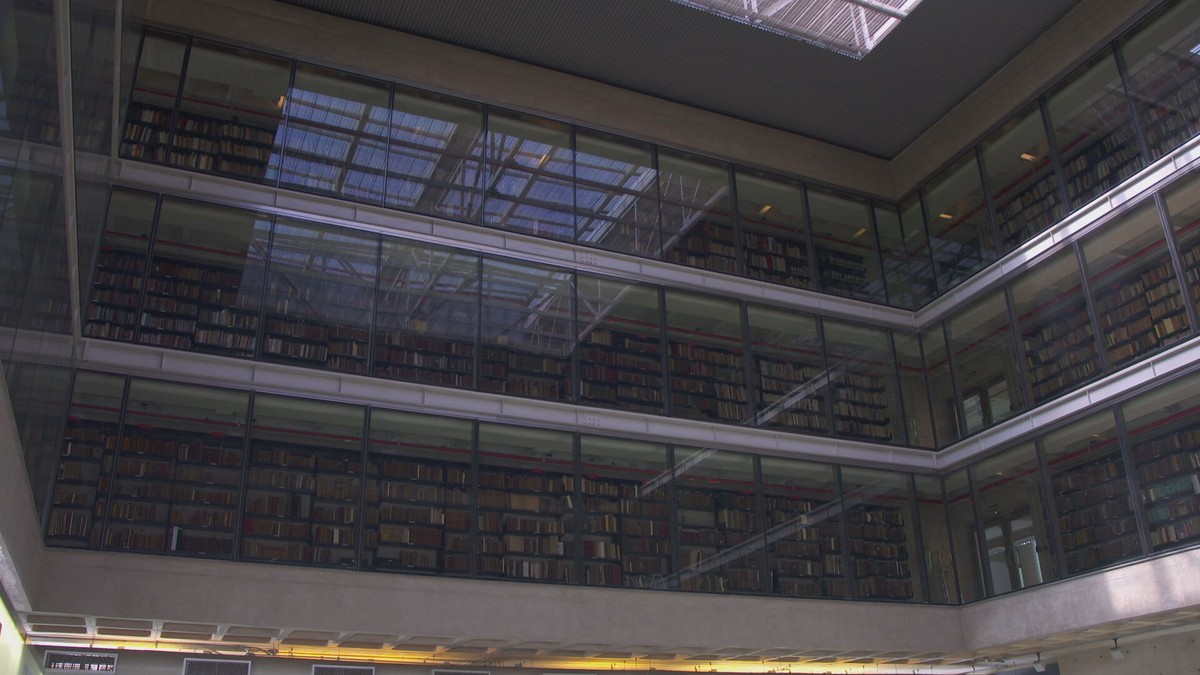 Biblioteca na USP reúne acervo com milhares de livros sobre Brasil ...