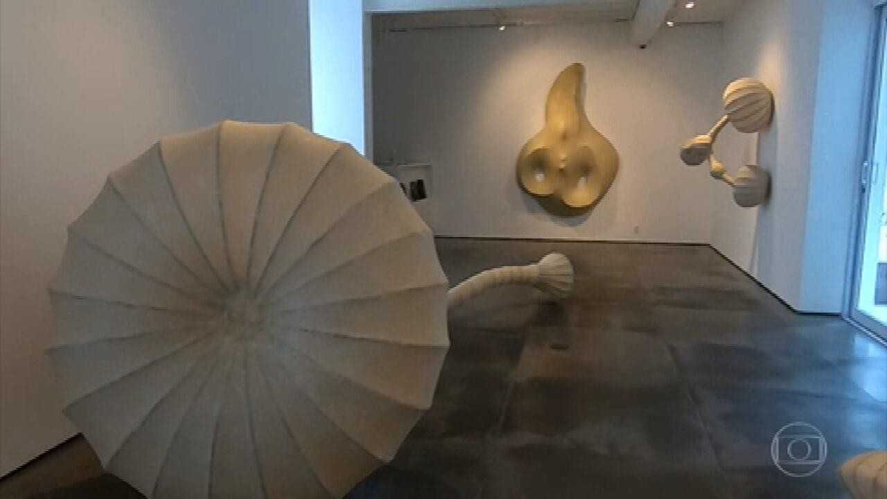 Veja a repercussão da morte do artista plástico Angelo Venosa | G1