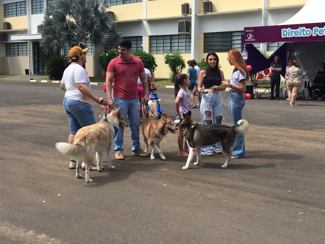 TEM+ Pet: feira de adoção, petshop, orientação veterinária e concurso ...
