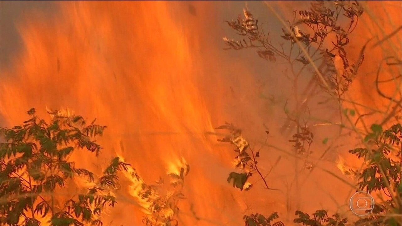 Focos de queimadas na Amazônia aumentam 30% em 2019; no Pantanal quantidade é seis vezes maior ...