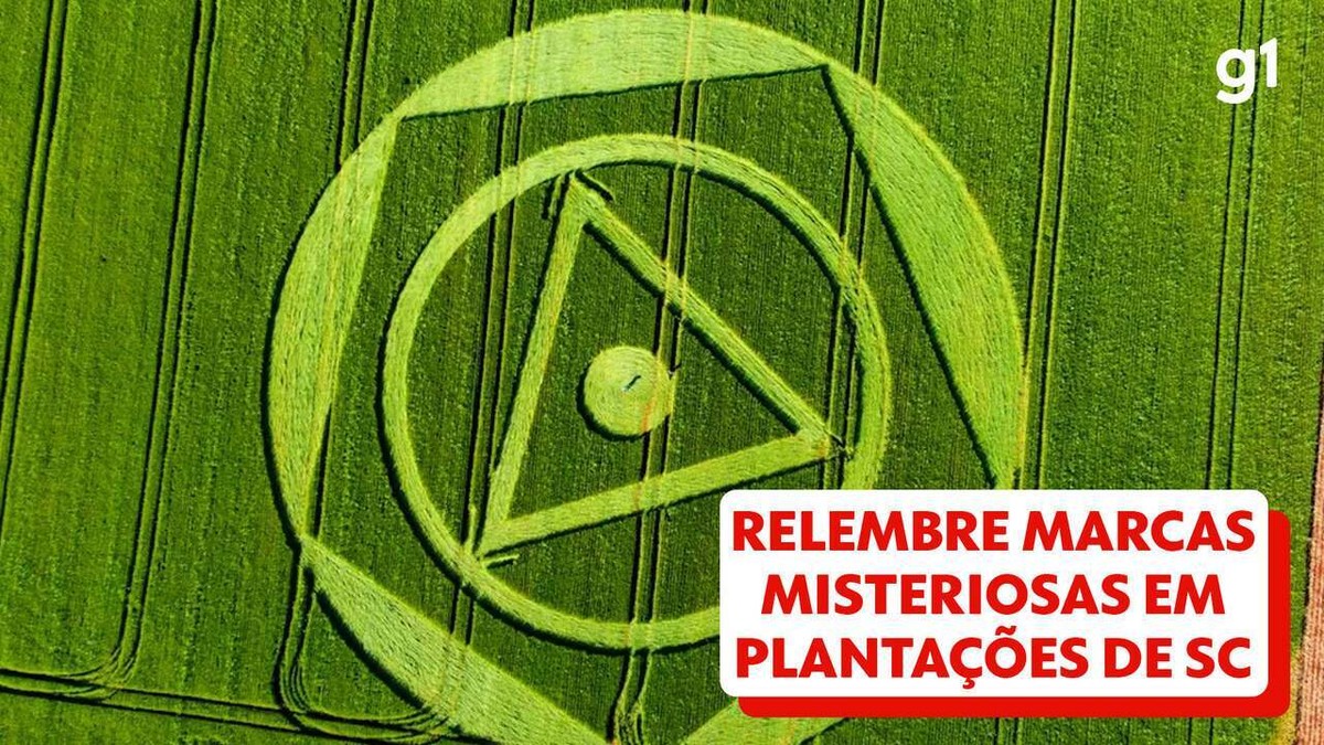 Agroglifos: entenda como surgem marcas 'misteriosas' em plantações de ...