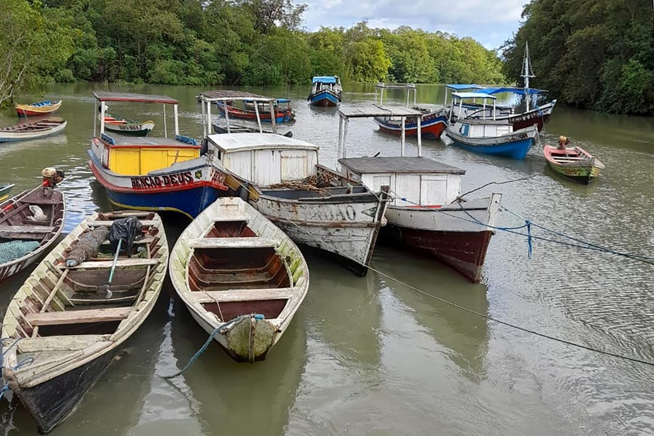 Curuçá e o bloco Pretinhos do Mangue: como é o carnaval da cidade onde ...