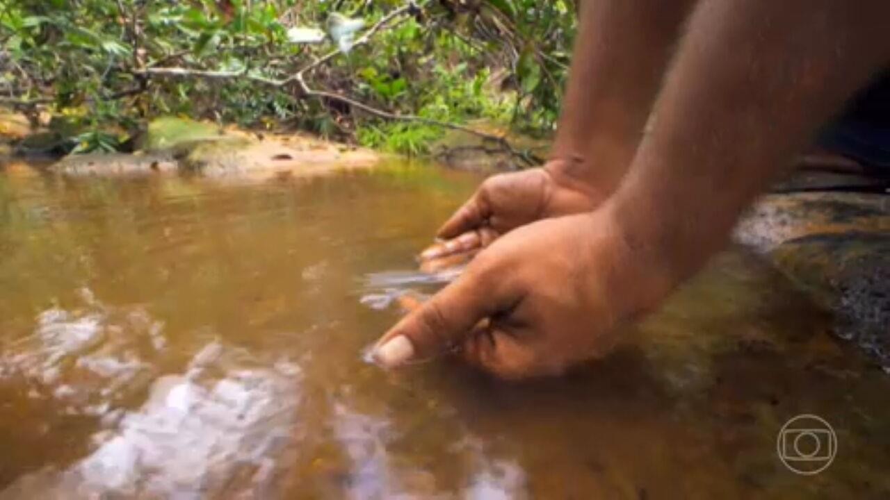 Projeto ajuda a recuperar nascentes e vegetação no Cerrado | Jornal ...